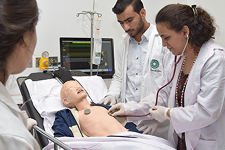 Simulation Labs | CIME